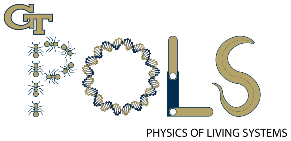 The Homepage of The Physics of Living Systems at Georgia Tech